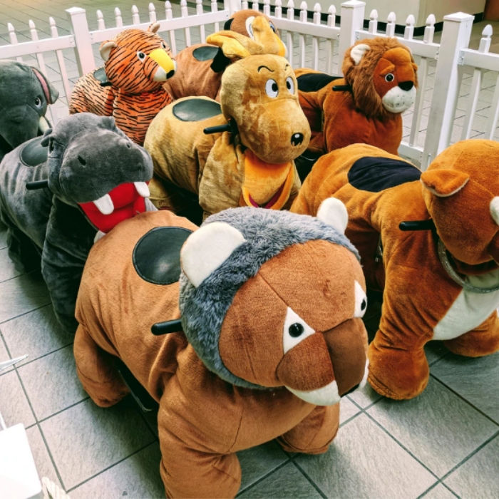 ZOO RIDERS | Ezdan Mall Al Gharaffa